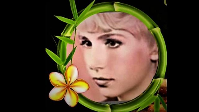 А я нашёл другую.Песня под гитару.70е.mp4