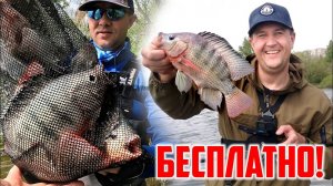 Такая РЫБАЛКА ДОСТУПНА КАЖДОМУ! Встреча с Зайем! Новый прицеп для лодки