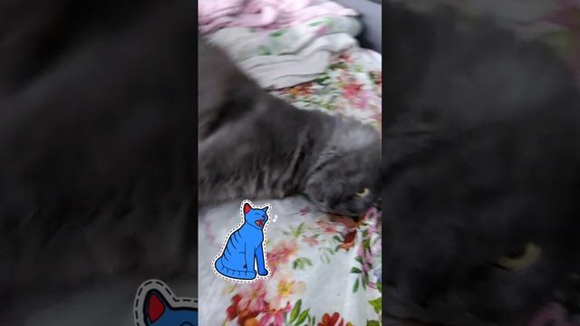 upload_2022_07_07_09_47_30_995.mp4