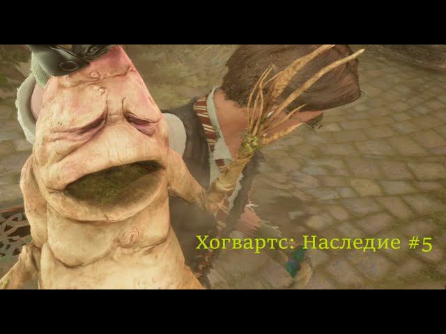 Хогвартс: Наследие. Прохождение 5 - уроки, первая заворушка и астролябия