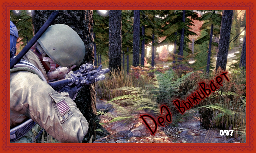 DayZ solo