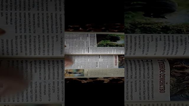 Обзор журналов.