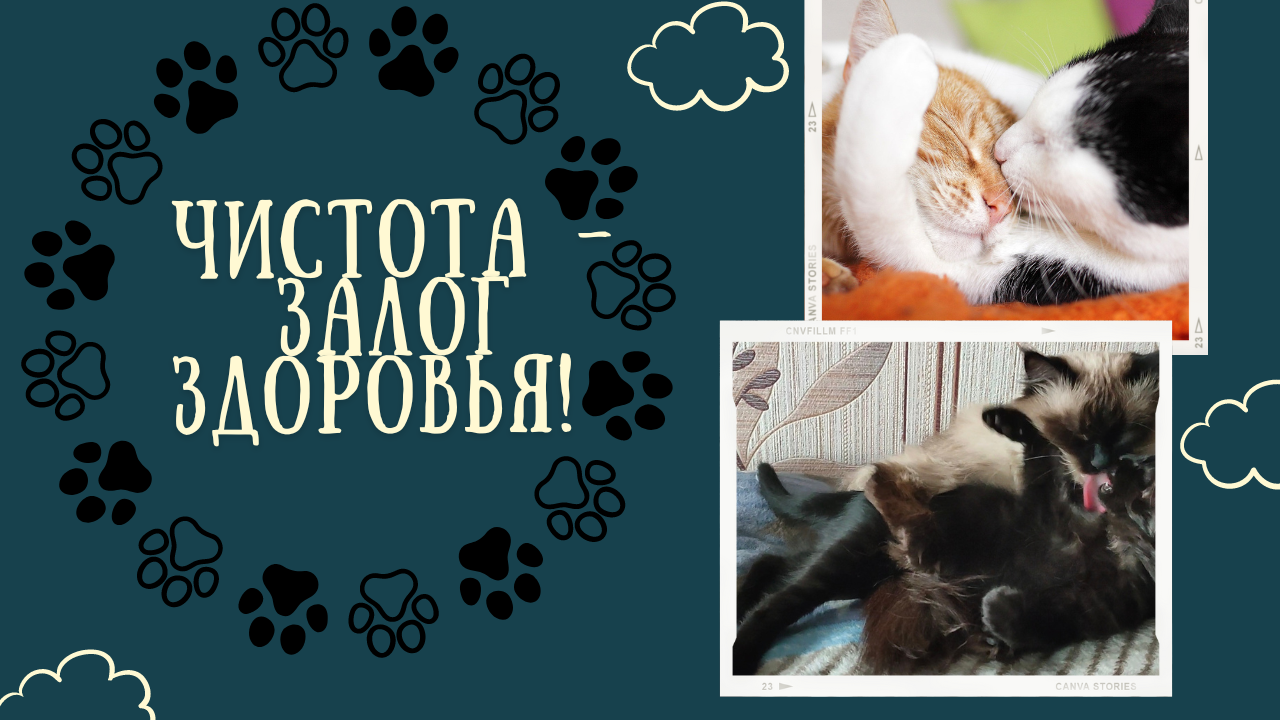 Да что вы знаете о чистоте