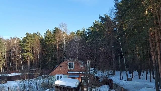 СТРАШНОЕ  ВИДЕНИЕ . ИНГА ХОСРОЕВА . ВЕДЬМИНА ИЗБА.