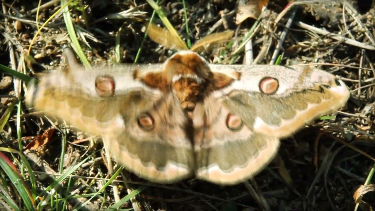 Рудная пристань 2015 4