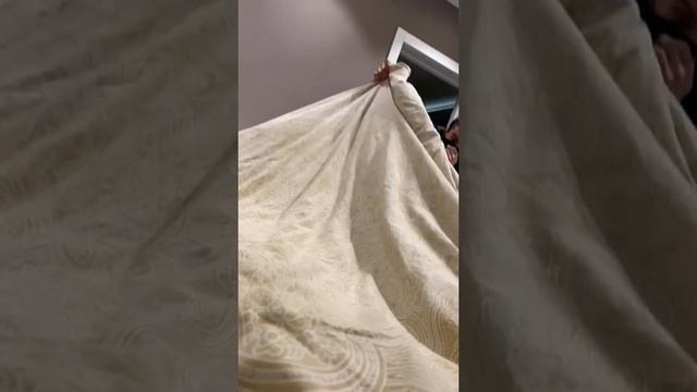 Воняет весь дом уже ?