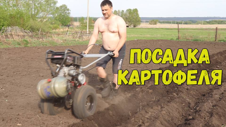 Посадка картофеля