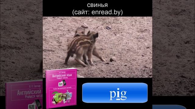 Задание P1. Ганчар Н.П. Английский язык. Учимся читать.mp4