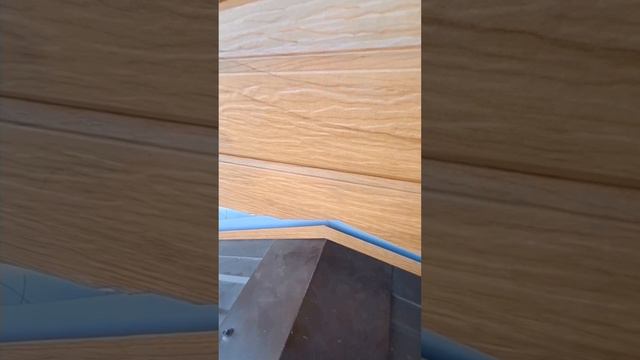 новоалтайск - prodigy