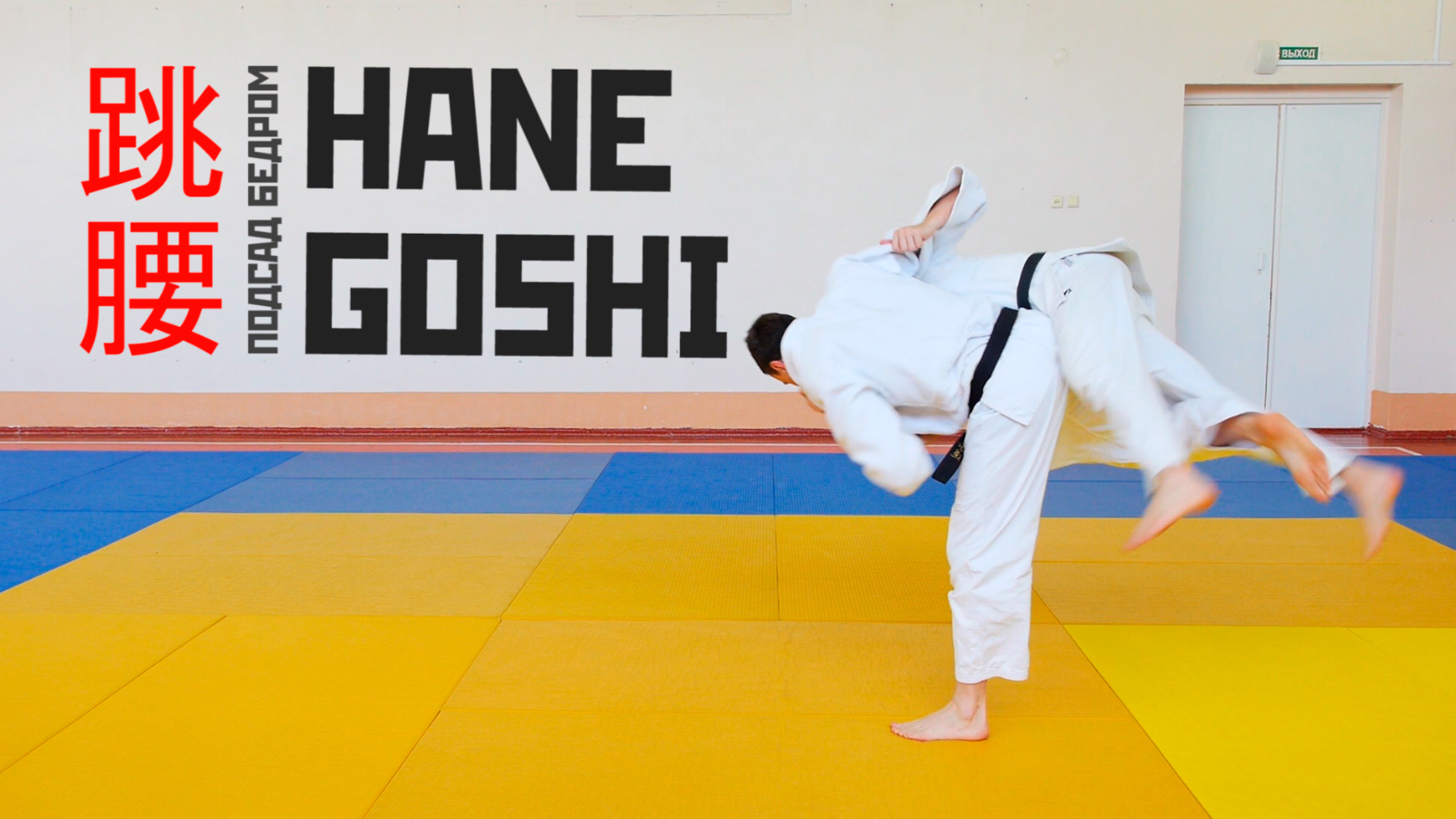 HANE GOSHI / Подсад бедром и голенью изнутри / 跳腰