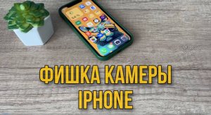 Экспозиция