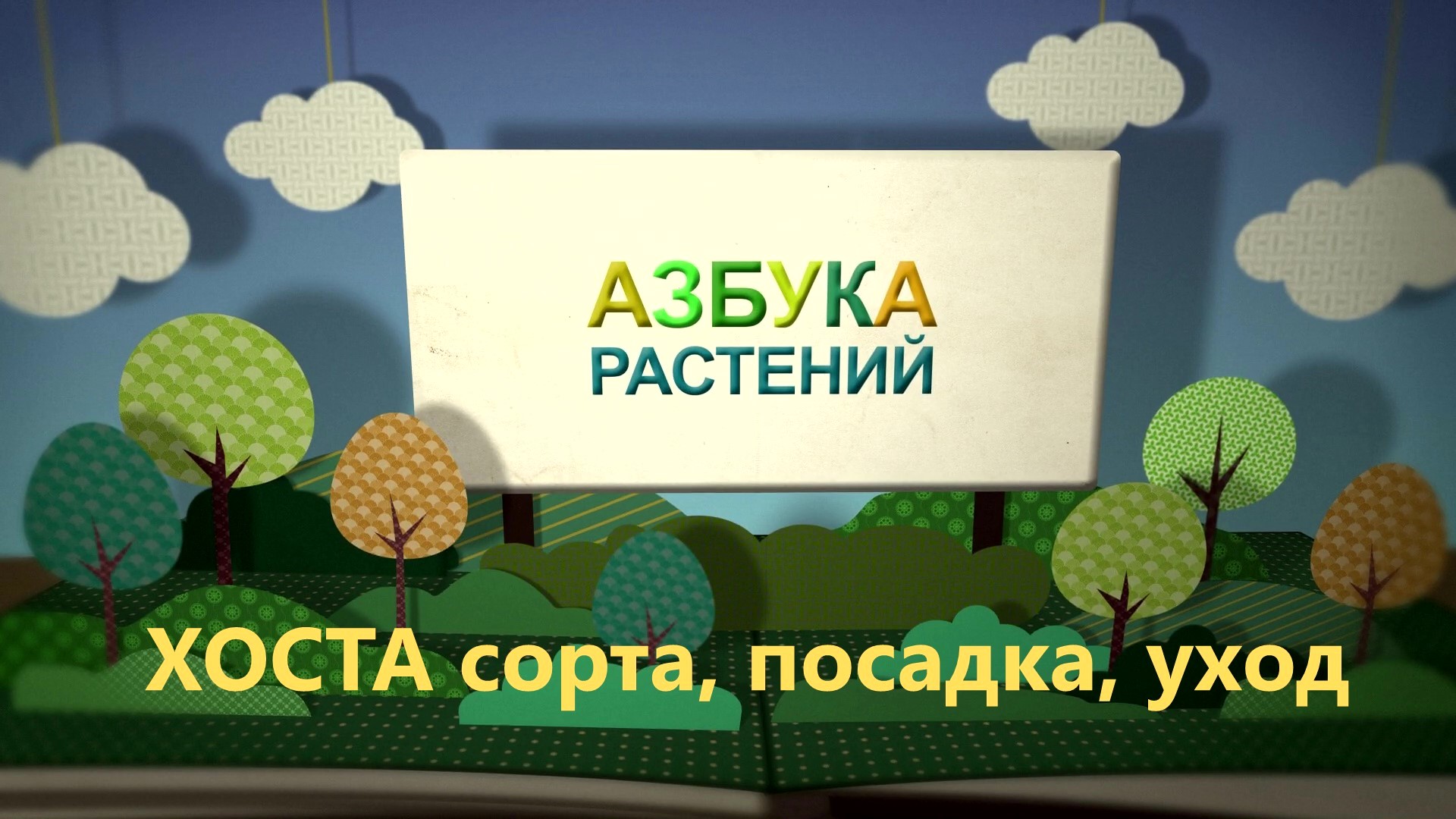 Хоста в саду.mp4