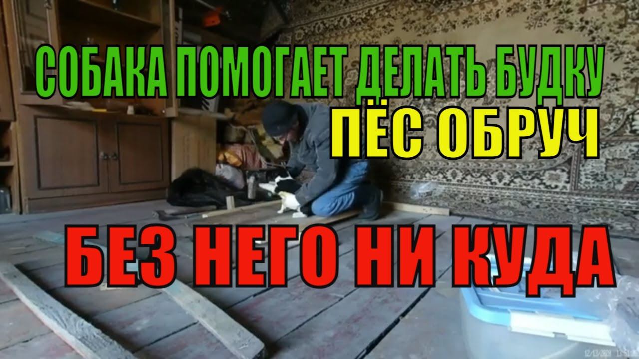 Щенок по кличке "Обруч'" помогает делать мне для него будку.  Наша Жизнь в Деревне после переезда.