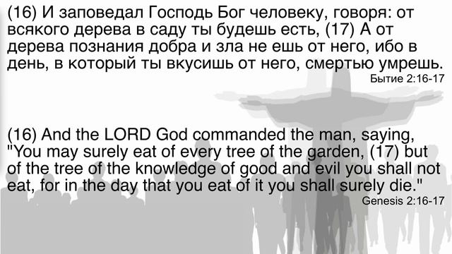 3.Виталий Олейник Бог, в которого я не верю_ «Фатализм».mp4