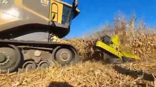 Кукурузная жатка ELIBOL и комбайн CAT LEXION 595R