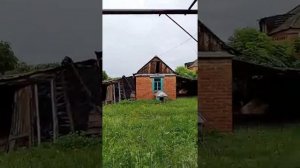 Купил заброшенный дом у реки. Жена в шоке, ребенок в восторге