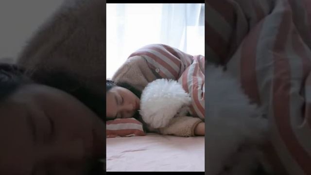 funny dogs 61#Shorts./забавные собаки