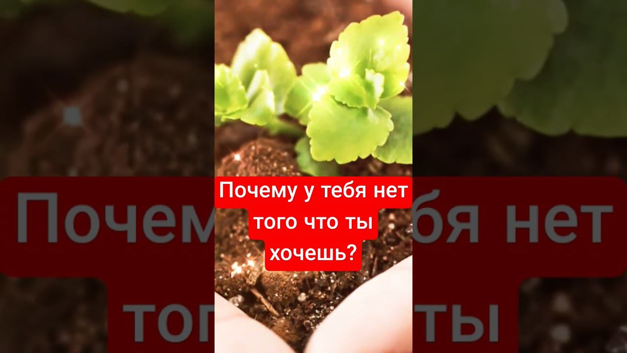 Как мы сами себя ограничиваем? #подсознание #самопрограммирование