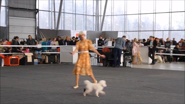 11 12 2016 Открытый Фристайл Ивашка Вальс расставанья