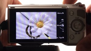 Nex 5 DMF