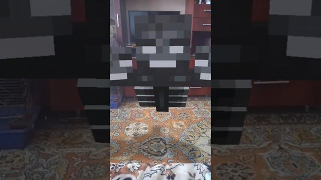 Это что Визер?!