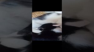 VID_20210721_152309.mp4