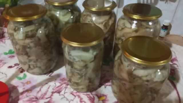 Грибочки-вешенки маринованные на зиму