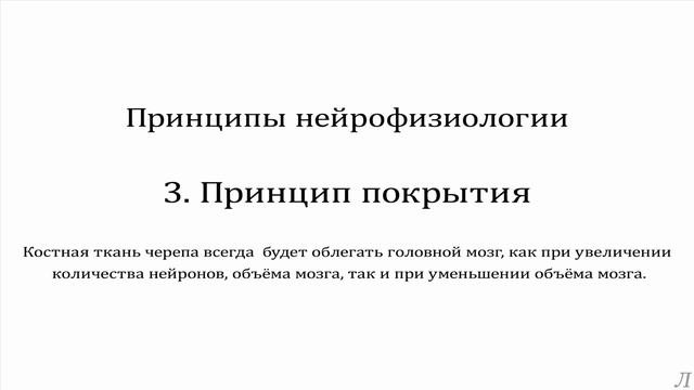 9.3 Принципы нейрофизиологии. Принцип покрытия