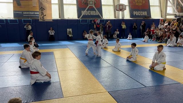 Айкидо для взрослых и детей в Мытищах