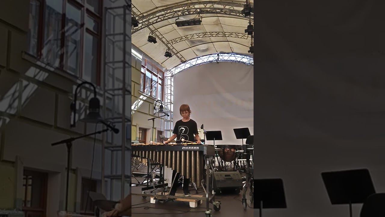 Играю Bee (пчела) на вибрафоне СОЛО