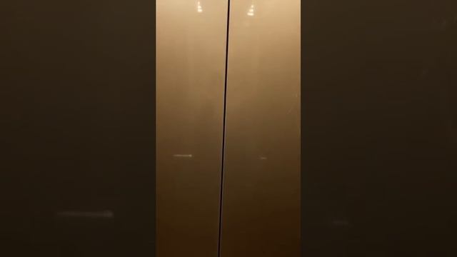 Обзор квартиры Стефановского, д. 4