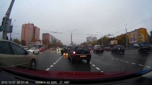Стадо которое умнее всех