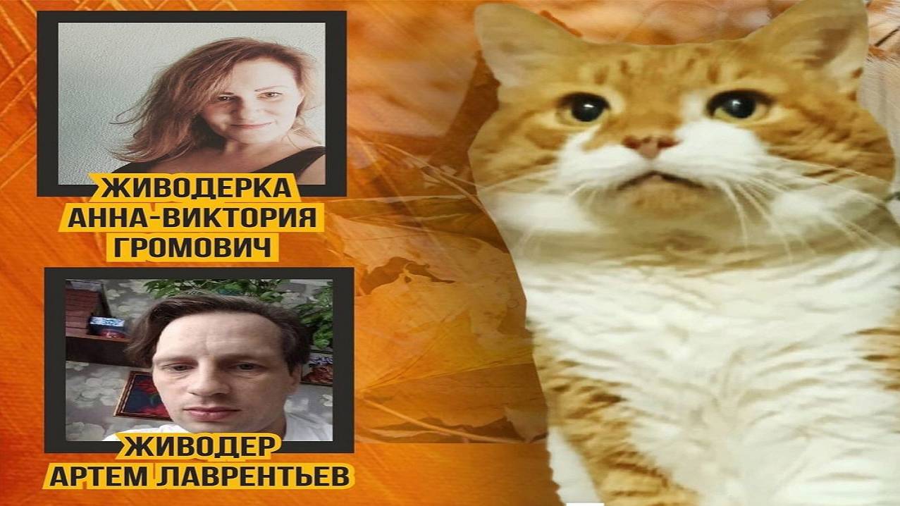 Живодёры замучили кота до смерти.