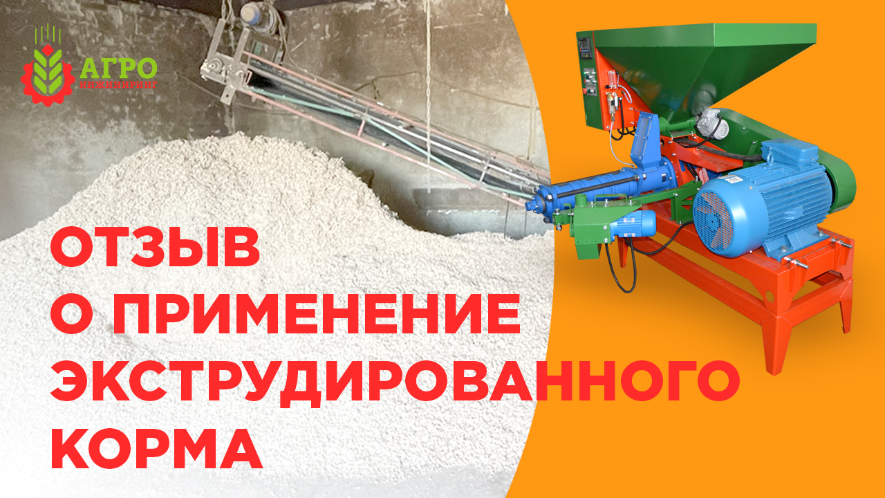 Отзыв главного зоотехника о применение экструдированного корма.