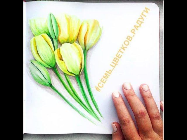 Yellow tulips marker speedpaint | Желтые тюльпаны спиртовыми маркерами