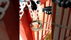 VID_20221004_082739_519.mp4
