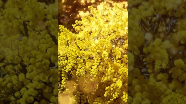 Доброе утро