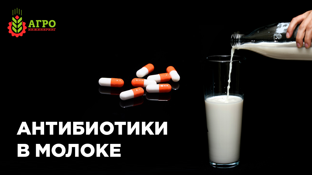 Откуда антибиотики могут попасть в корма для крупного рогатого скота. Как это можно избежать..mp4