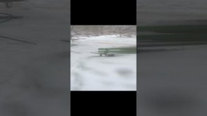 Штеменко 42 2022-01-25.mp4