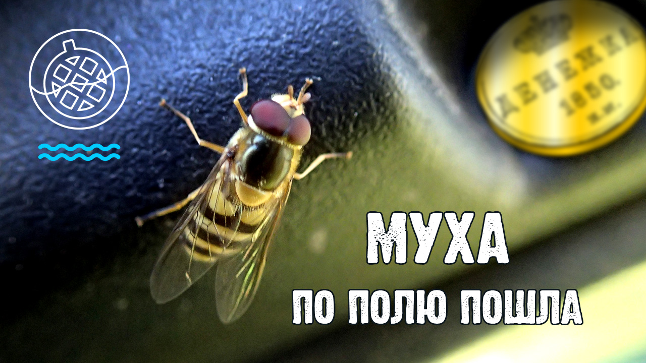 Вторая речка