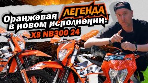 Обзор мотоцикла BRZ X8 NB300 24 / Новинка 2024 года