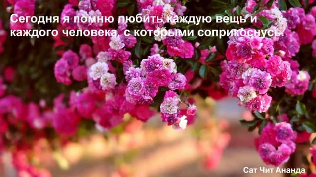 19 День Медитация Жить в любви
