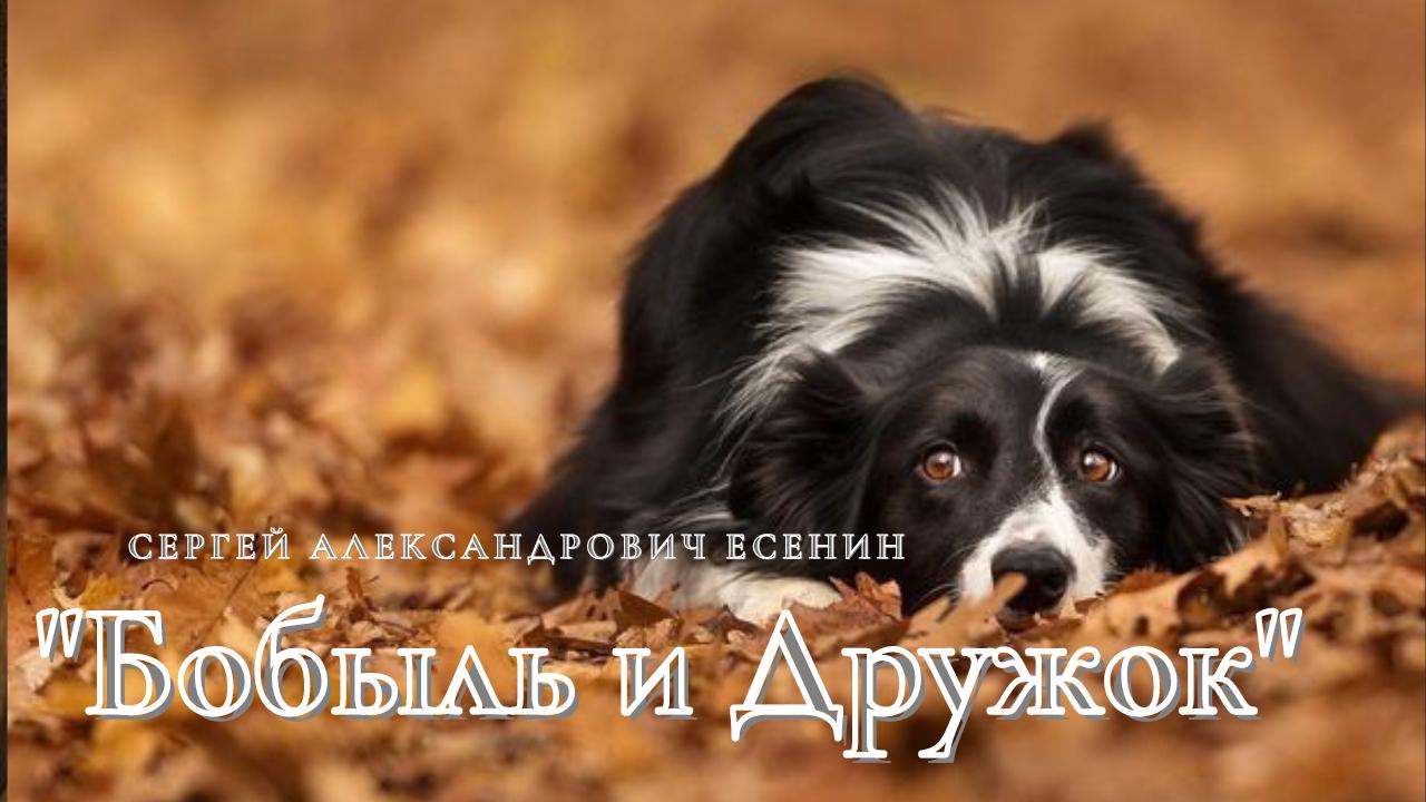 С.А. Есенин - Бобыль и дружок.