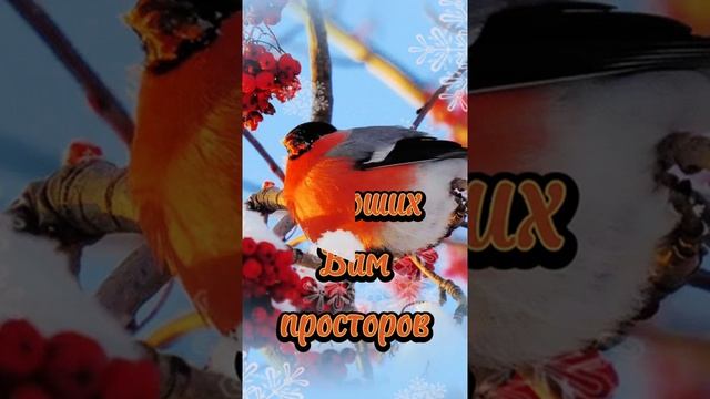 С последним днём зимы