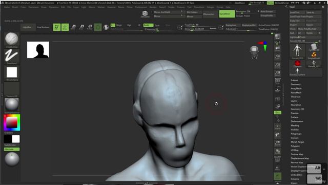 12. Face Basic Shapes