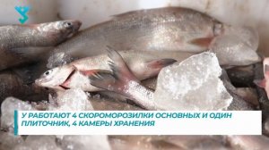 Приуральские рыбаки начали добычу до старта путины