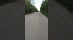 прогулка