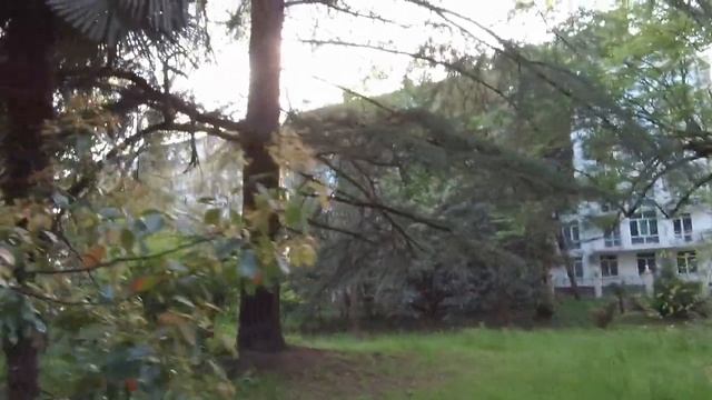 Парк Южные Культуры в Адлере. Красивые места в Сочи и Адлере обязательные для посещения..mp4