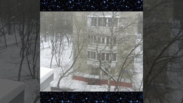 Гарцующая белка 744676_44875