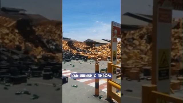 Землетрясение разбило пивной склад  в Эквадоре | Итак, новости!